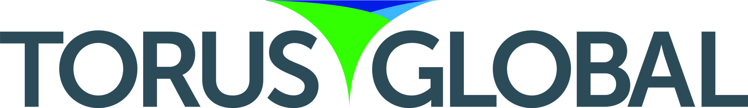 Tours Global Logo – Torus Global